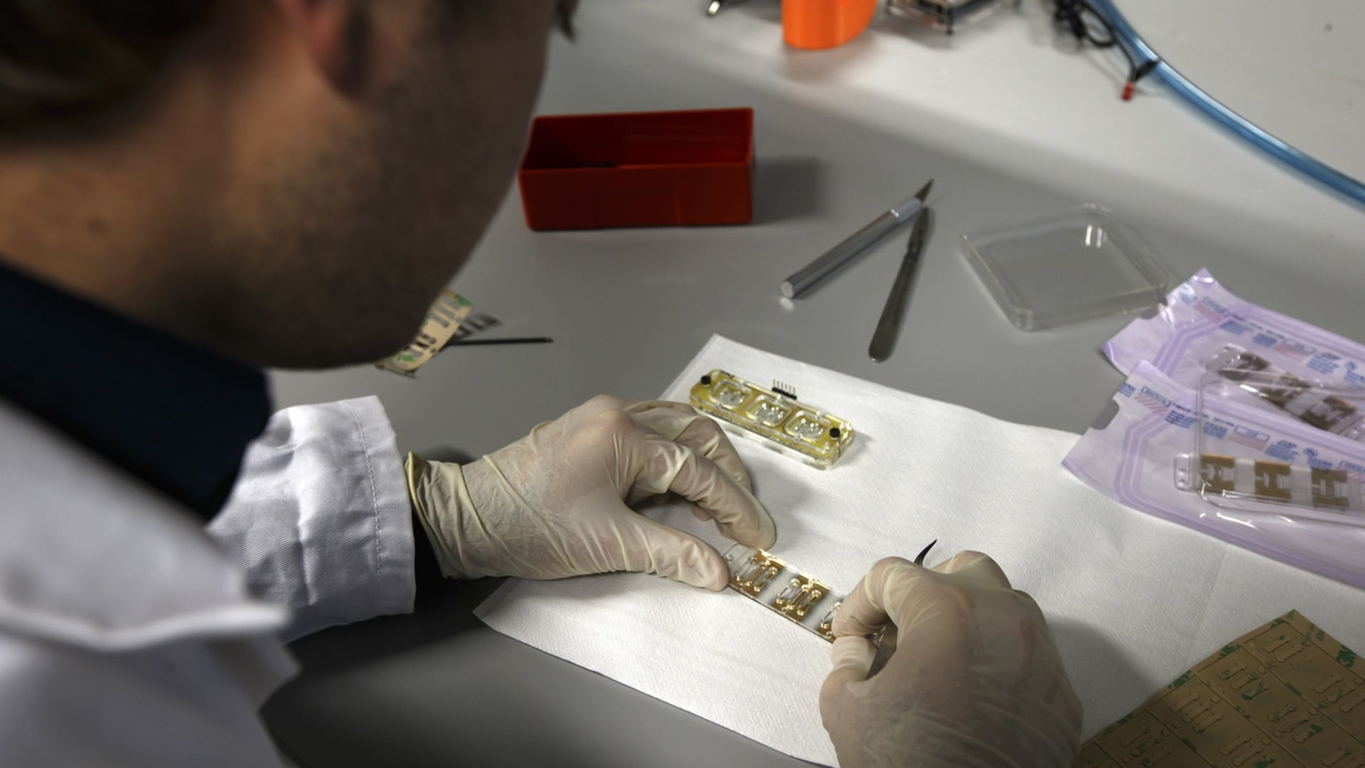 Expectations of science for the good of mankind